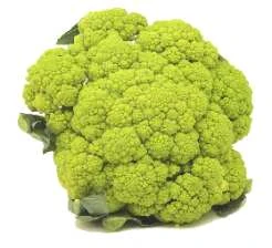 Broccoflower | Recipes Wiki | Fandom
