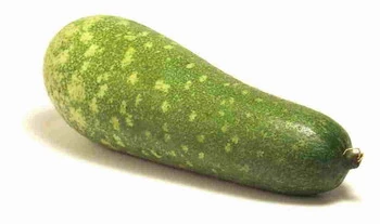 Winter melon | Recipes Wiki | Fandom