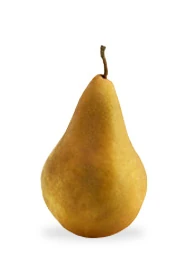 Bosc pear | Recipes Wiki | Fandom