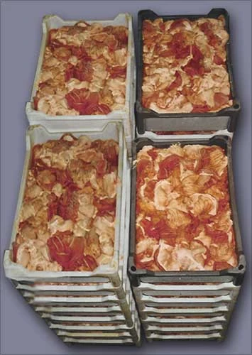 Abats | Recipes Wiki | Fandom