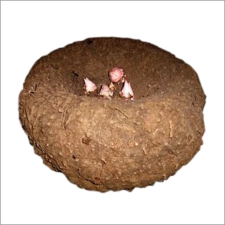 Kanda | Recipes Wiki | Fandom