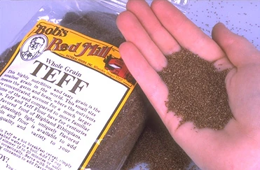 Teff | Recipes Wiki | Fandom