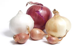 Onion | Recipes Wiki | Fandom