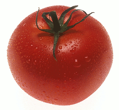 Tomato | Romanian Recipes Wiki | Fandom