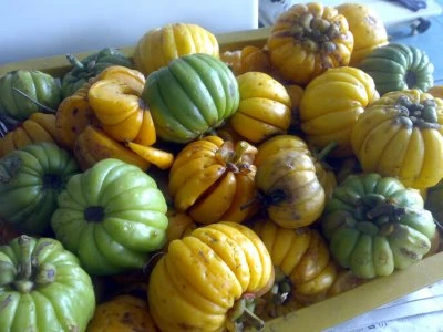 Asam gelugur | Recipes Wiki | Fandom