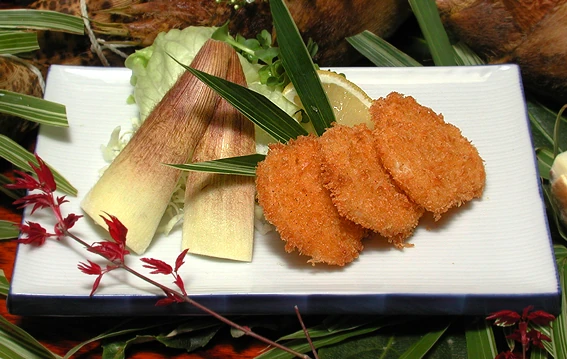 Agemono | Recipes Wiki | Fandom