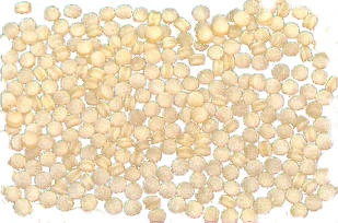 Anchellini | Recipes Wiki | Fandom