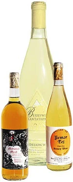 Tej | Recipes Wiki | Fandom