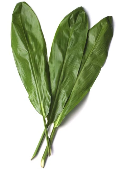 Ti leaf | Recipes Wiki | Fandom