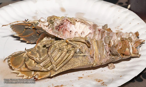 Deep-sea prawn | Recipes Wiki | Fandom