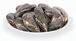Raw Mussels | Recipes Wiki | Fandom