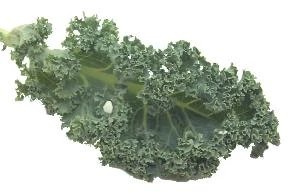 Kale | Recipes Wiki | Fandom