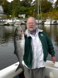 Bluefish | Recipes Wiki | Fandom