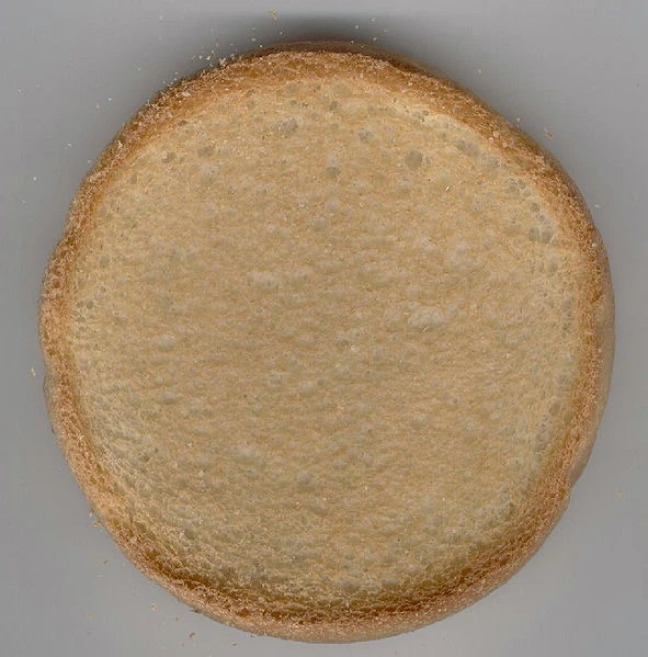 Beschuit | Recipes Wiki | Fandom