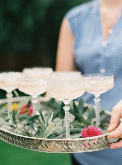Champagne Julep | Recipes Wiki | Fandom