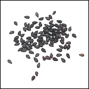 Single Sesame Seed