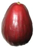 Ambarella | Recipes Wiki | Fandom