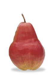 Red Bartlett pear | Recipes Wiki | Fandom