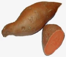 Yam | Recipes Wiki | Fandom