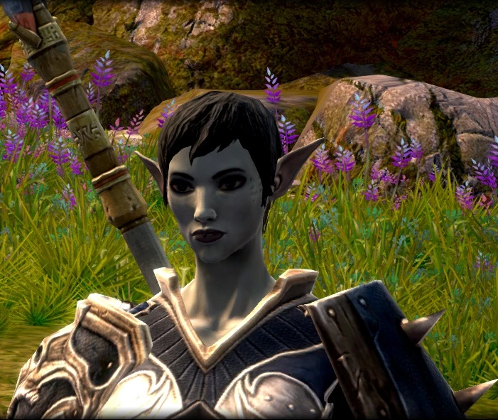 Category:Dokkalfar | Amalur Wiki | Fandom