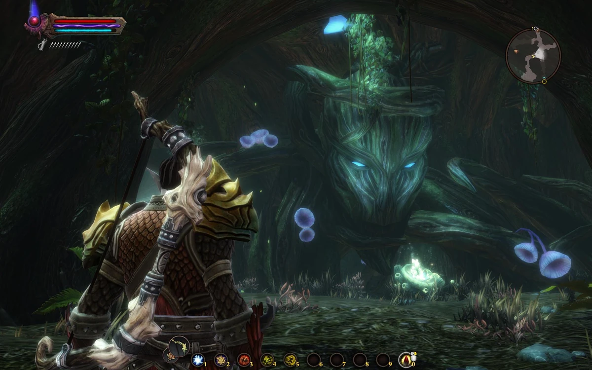 Shadowthorn | Amalur Wiki | Fandom