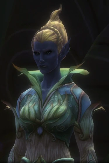 Warlord Whenery | Amalur Wiki | Fandom