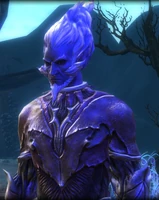 Aluck | Amalur Wiki | Fandom