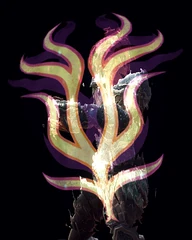 Divine Shell | Amalur Wiki | Fandom