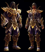 Spiritweave Robes | Amalur Wiki | Fandom