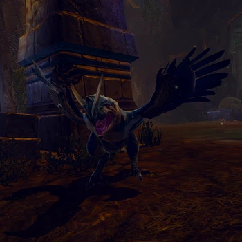Pteryx | Amalur Wiki | Fandom