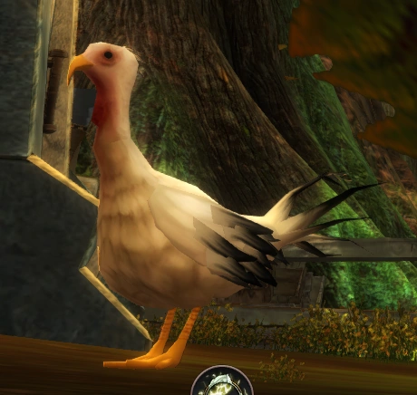 Chicken | Amalur Wiki | Fandom