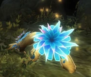 Tindertwig | Amalur Wiki | Fandom