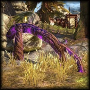 The Cursed Grove | Amalur Wiki | Fandom