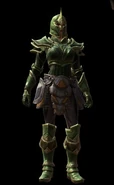 Chivalric Chausses | Amalur Wiki | Fandom
