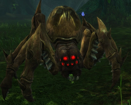 Spider Season | Amalur Wiki | Fandom