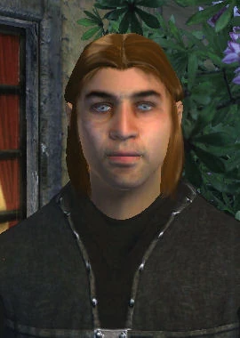 Trebin Marrow | Reclaiming Sancre Tor Wiki | Fandom