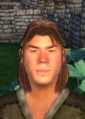Bors | Reclaiming Sancre Tor Wiki | Fandom