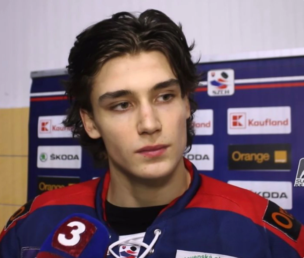 Dimitri "the Tsar" Nikolaev | Recon Team Angel Wiki | Fandom