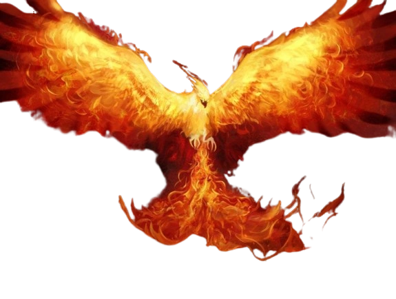 PhoenixFox | Recoraudio Wiki | Fandom