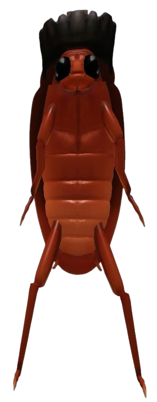 Mr. Fang Roach | Recoraudio Wiki | Fandom