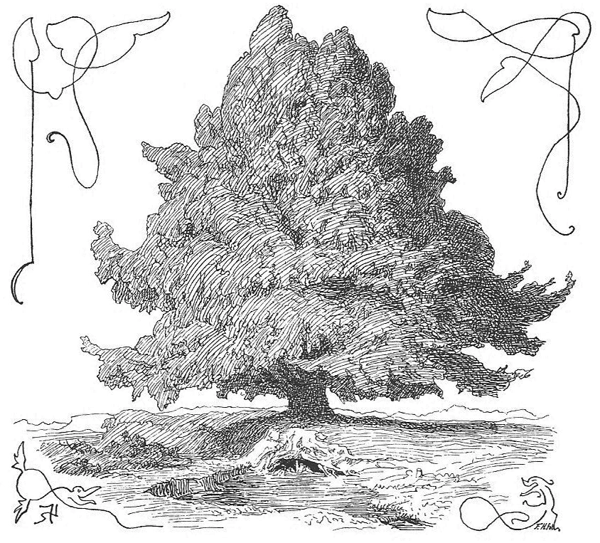 Yggdrasil | Record of Ragnarok Fanon Wiki | Fandom