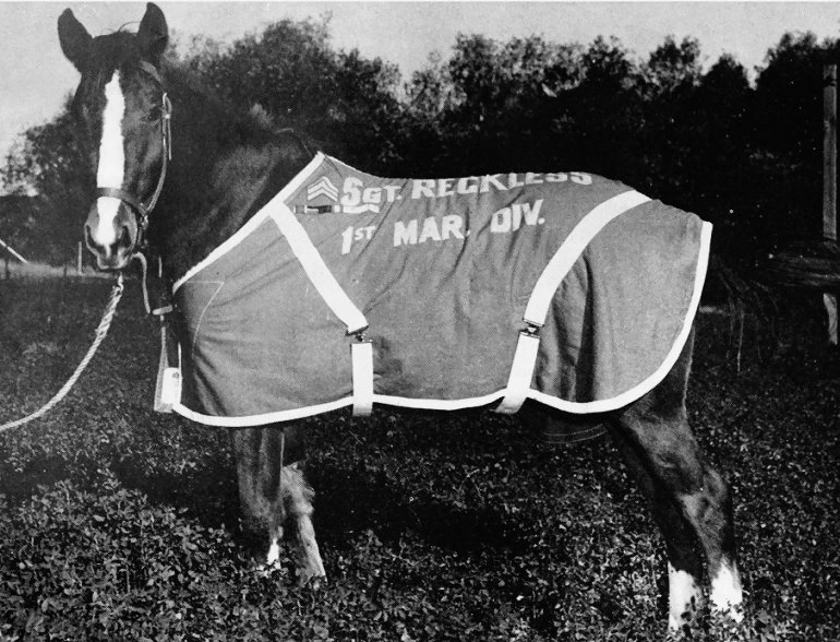 Sergeant Reckless | Record of Ragnarok Fanon Wiki | Fandom