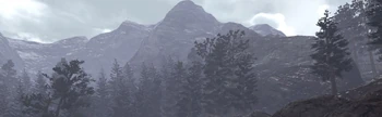 Tall Trees | Red Dead Myths Wikia | Fandom