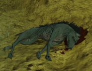 Chupacabra | Red Dead Myths Wikia | Fandom