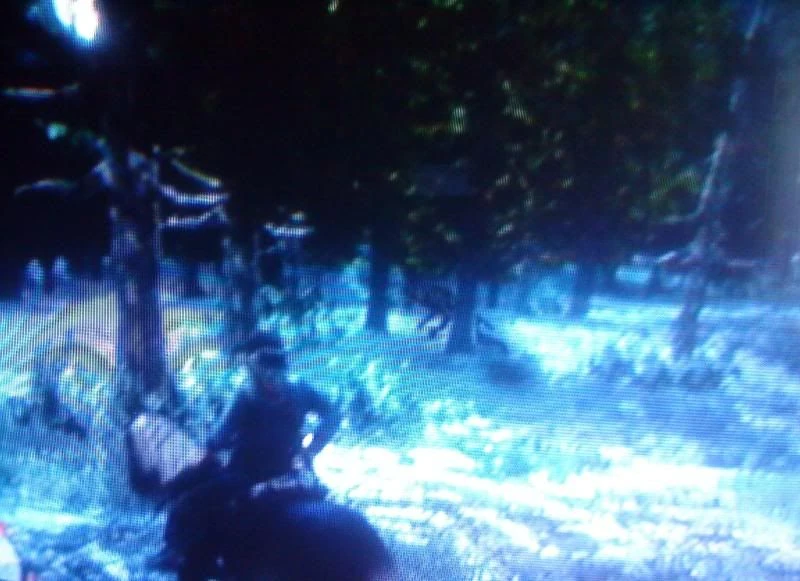 Werewolf | Red Dead Myths Wikia | Fandom