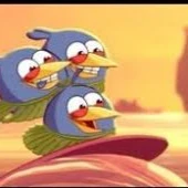 Flock Fan | Red red Bird And Friends Wiki | Fandom