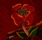 Haemanthus | Red Rising Wiki | Fandom