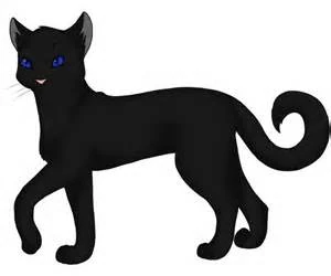 Reedwhisker | Redclan Wikia | Fandom