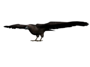 Halcón | Wiki Red Daed Undead Nigthmare | Fandom