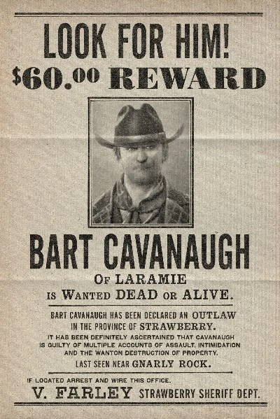 Плакат о награде — Барт Кавана | Red Dead Wiki | Fandom